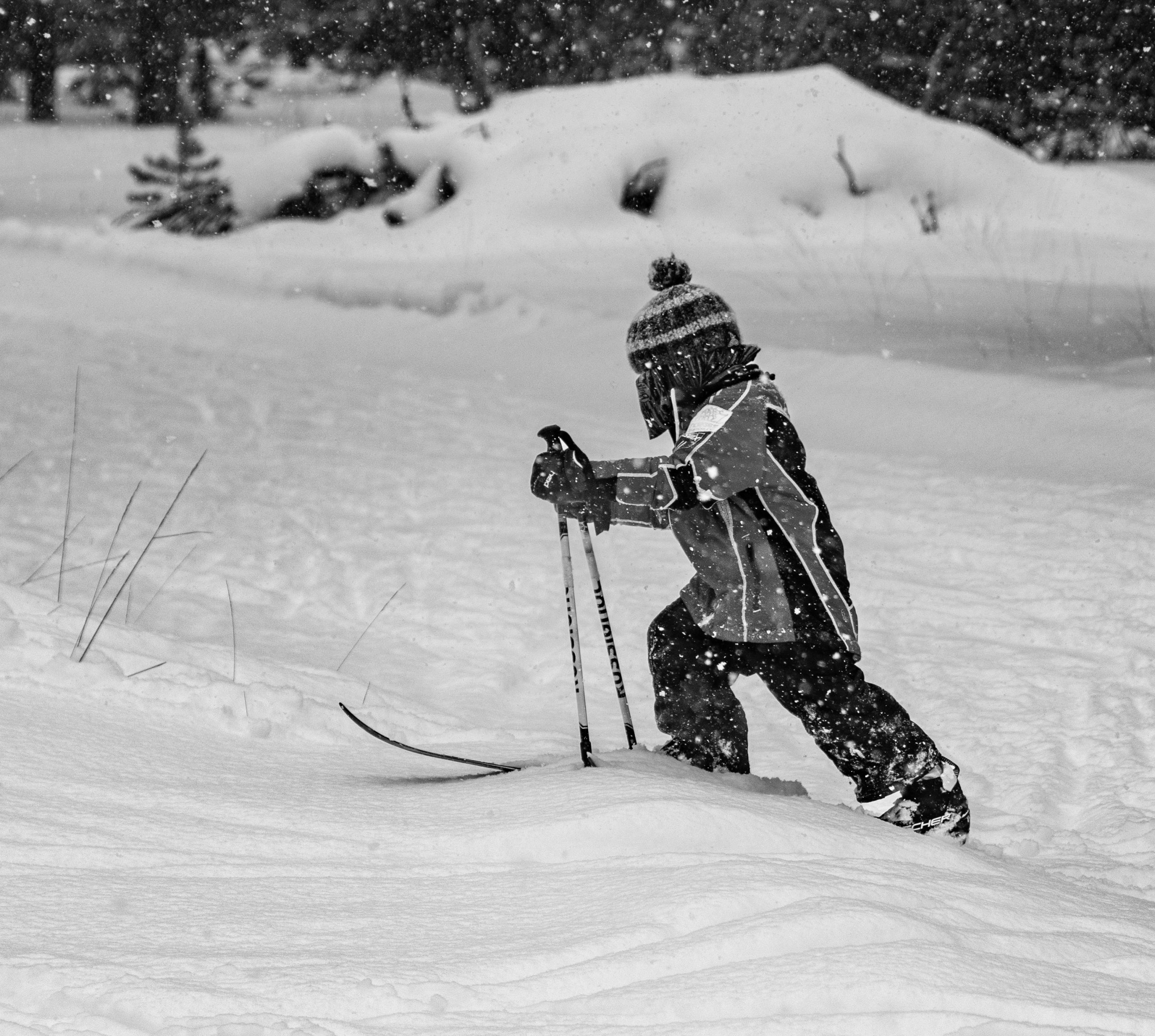 eTUNA News - The Utah Nordic Alliance